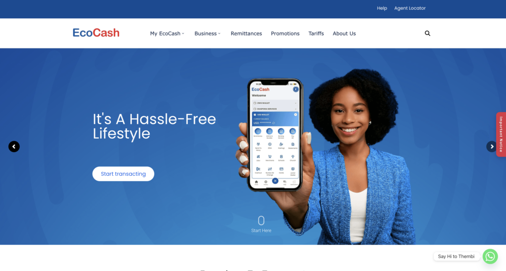 Designing the EcoCash website – Simplicity that clicks - Dicomm